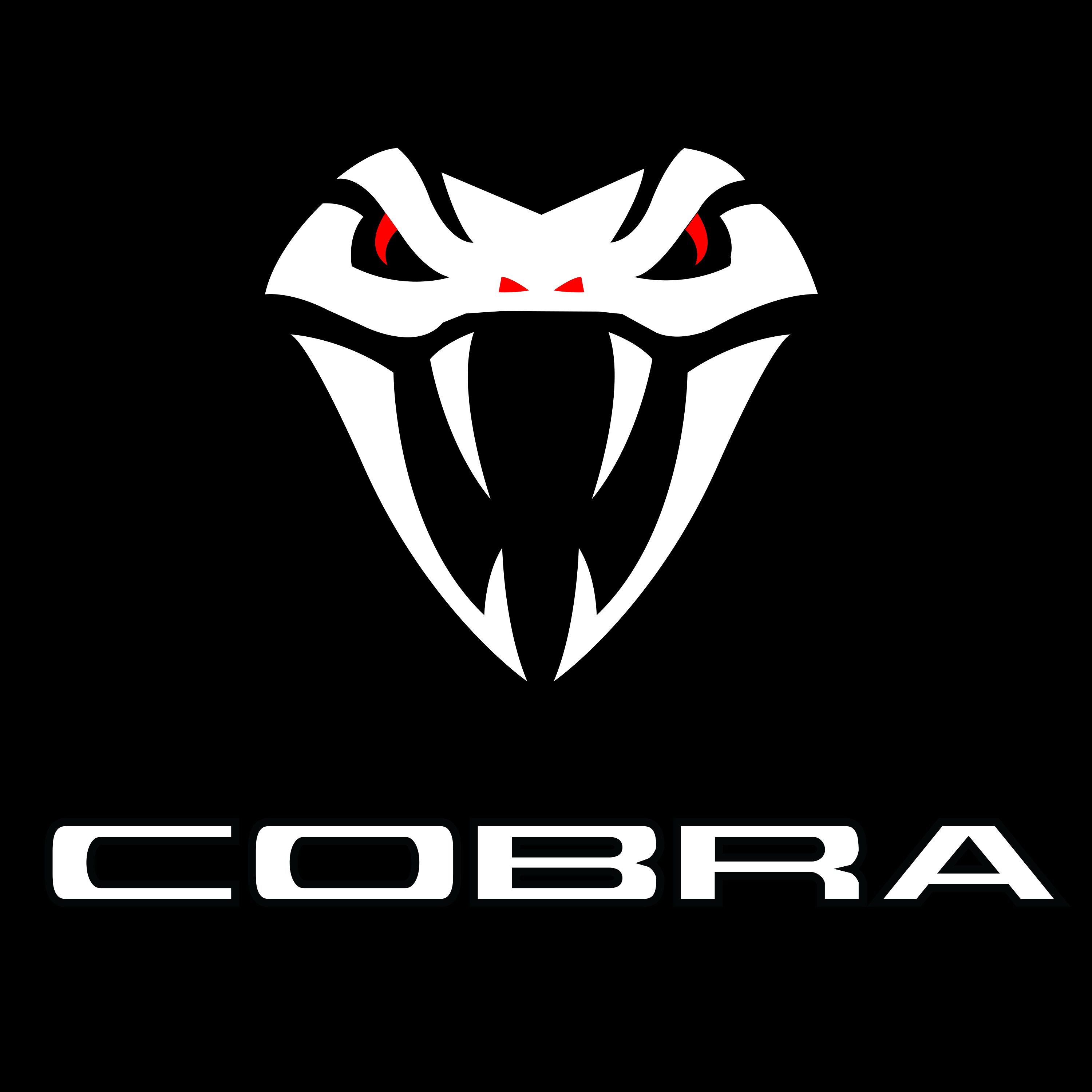 COBRA RANGE – INC-APPAREL